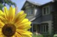 5 Tips for Selling Your Home in the Spring Real Estate Market ...