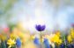 The Most Common Springtime Plumbing Issues | RISMedia\'s Housecall